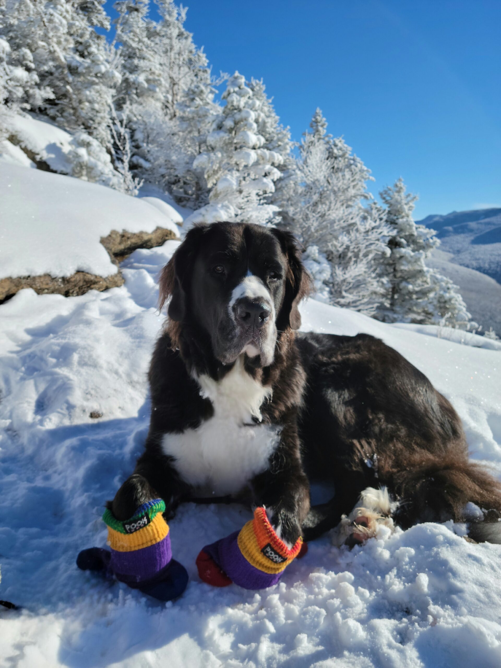 If Your Feet Get Cold…Put Mittens On Them – imperfectphil